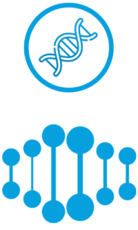 Careers – Intelling Ltd