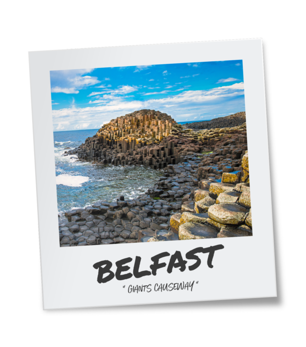 Intelling Ltd – Clever Communication