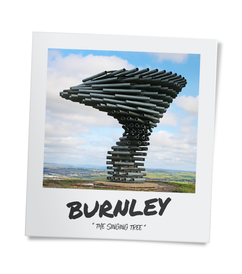 Careers – Intelling Ltd