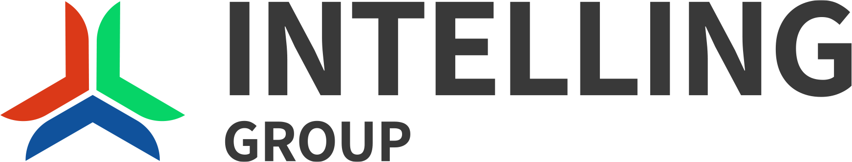 The Group – Intelling Ltd